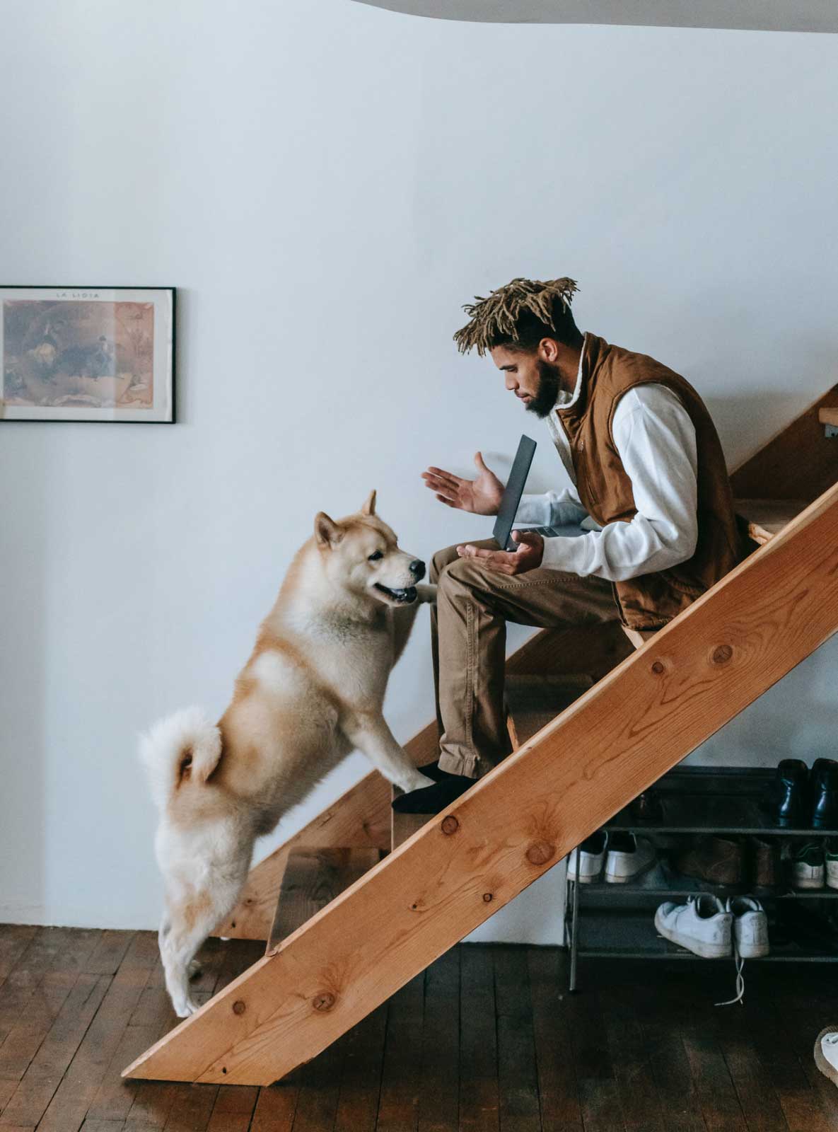 Residential Extermination Service - Extermination Low Cost | Montreal ...